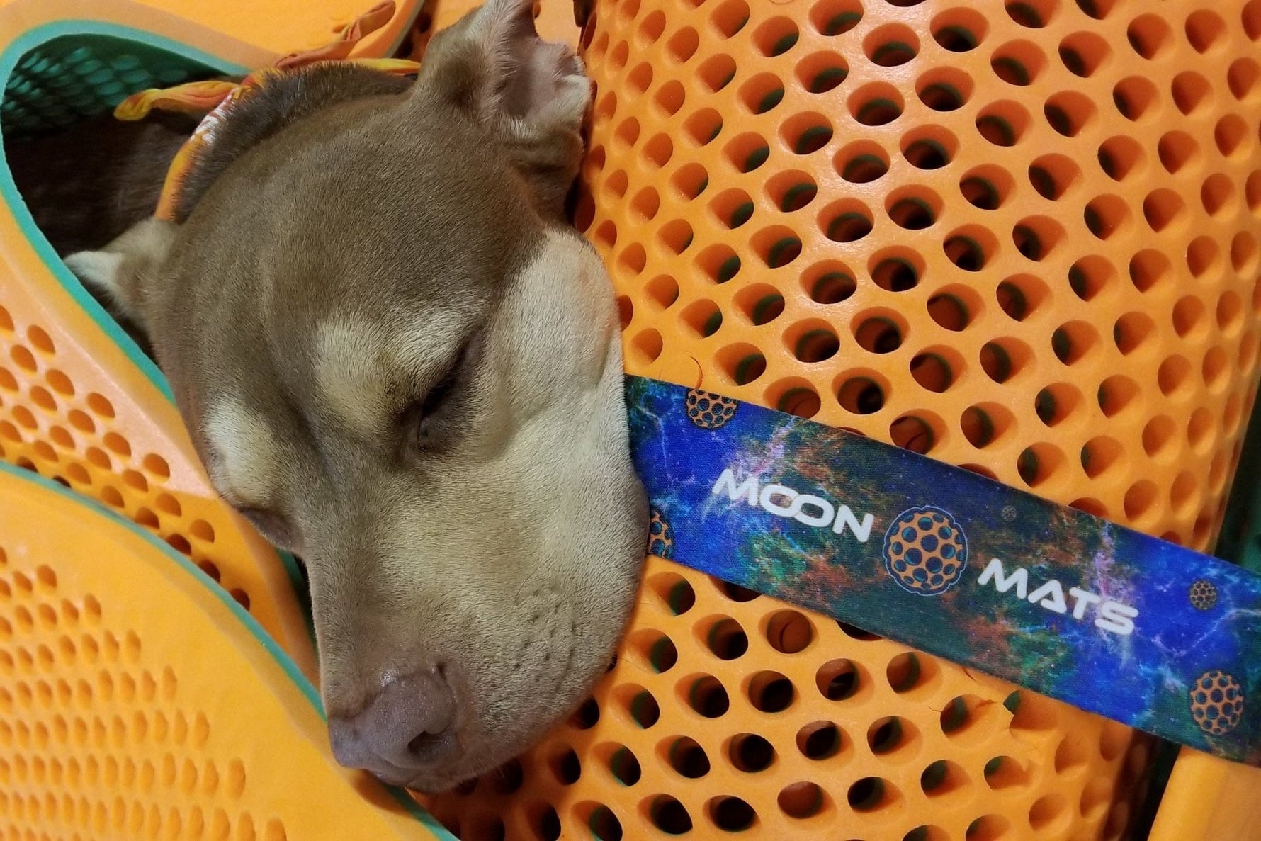 MoonMats – Moonmats, LLC